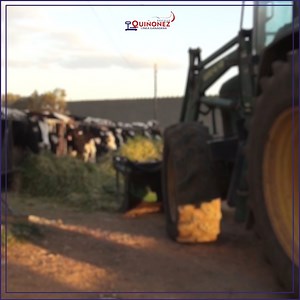 85K views · 227 reactions | El forraje en la prevención de...