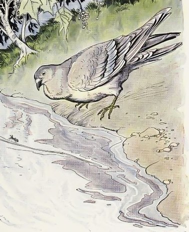 The Ant and The Dove - Fables of Aesop