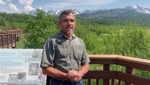 📢Anchorage- you don’t want to miss this! 🦆Potter Marsh Discovery Day happening NOW until 4pm! Check out this video and our story for more details! | Alaska Department of Fish and Game - Official