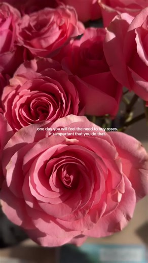 you must #quotes #roses