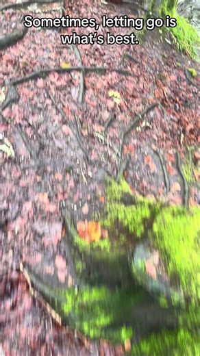 It may be tuff to hear but it’s the truth. #fyp #hike #nature #hikersoftiktok #motivation