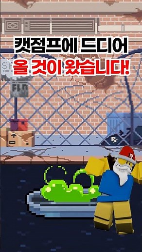 The cat jump is coming...