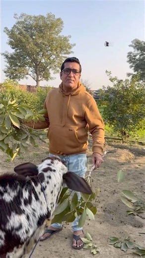 Nai raj di #zkp #youtubeshorts #shortsvideo #viral #short #trendingshorts