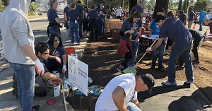 Cleanup In City Heights Benefits Somali Neighborhood