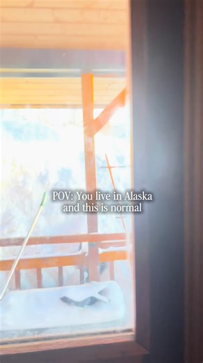 Moose in the backyard? Normal. Pizza boxes that double as target practice? Thanks @palmeralehouse . Northern Lights from the kitchen window? Okay, that’s still pretty special. Sometimes I forget how wild our ‘normal’ life looks to everyone else. We left the ease of suburban living for the challenge of off-grid Alaska, and it has certainly come with its challenges. But I wouldn’t trade this beautiful, chaotic, incredible normal for anything. Even when the generator dies at 6 AM before we’ve even 