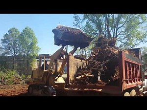 Cat 953 Track Loader Loading Stumps