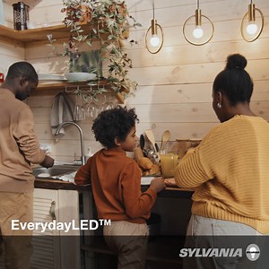 This fall, swap your halogen and incandescent lamps with...