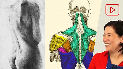 Artistic Anatomy Lecture: Upper Back Muscles · Art Prof