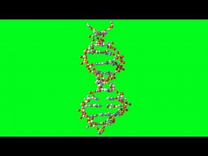 Green Screen DNA Double Helix Structure Animation | DNA Rotating | Make Your Project | Technology