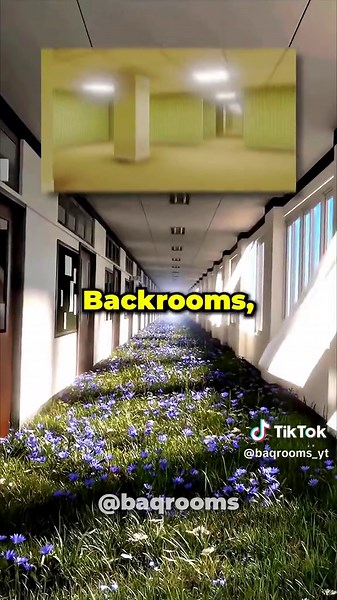 What Happens If an Elderly Dies in the Backrooms? Found Footage