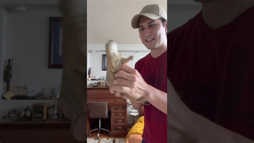 Excited Prairie Dog Enjoys the Spotlight