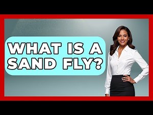 What Is A Sand Fly? - Insects and Invaders
