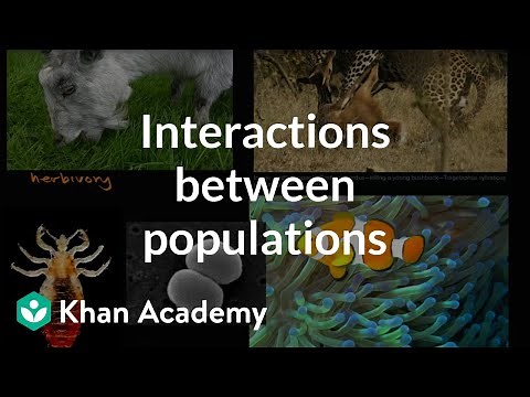 Interactions between populations | Ecology and natural systems | High school biology | Khan Academy
