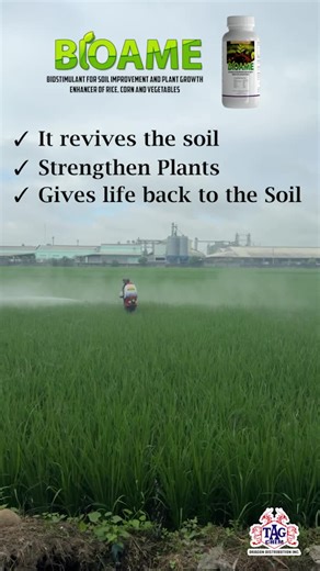🌱 BIOAME – Naturally Powerful, Naturally Effective 🌱 Boost your crops the smart way with Bioame—designed to support healthier plants, stronger growth, and better field performance. ✅ It revives the soil ✅ Strengthen Plants ✅ Gives life back to the soil Because when nature and science work together, your harvest grows better. 📩 Message us today to learn more about Bioame and how it can help your crops thrive! | Tagchem Dragon Distribution Inc.