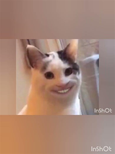 تقييم افاتارات المتابعين P2😩✨💗 #اكسبلور #تقييم_افاتارات#fypシ#isam#حملة_توصيلي_١٠٠ مشترك#sorts