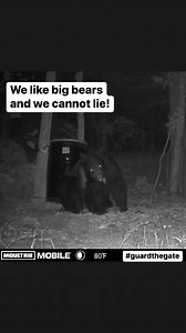 9.5K views · 272 reactions | Let’s see your big bears from last season. We like big bears and we cannot lie! #guardthegate Moultrie Mobile | Bear Hunting Magazine | Facebook