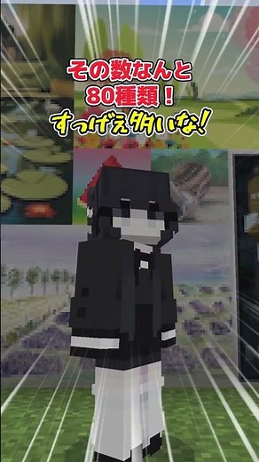 [Add-on Introduction] If you can't understand it, don't display it [Minecraft Bedrock Edition]