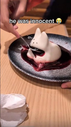 Just Wanted Dessert… 😭