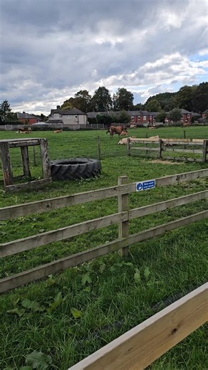 country side in uk Full village vibes 👌 #for #videoviral #MrAvlogging #trending #tik_tok