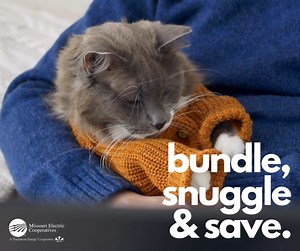 The lower the interior temperature of your home, the slower the heat loss, which helps save on your heating bill. This winter, grab your favorite sweater and get cozy. (Bonus points if you and your pet match!) | Missouri Electric Cooperatives