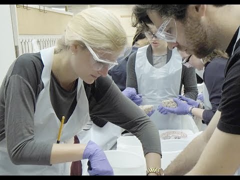 Experiential Learning in Neuroscience