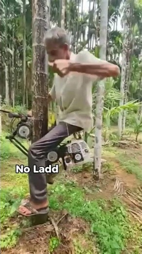 This Elderly Man Climbs Trees Without Fear 🌴