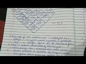 What is Complementary gene?Non allelic gene interaction,Complementary gene with example in detail 🌿🌿