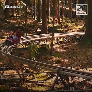 1.7M views · 1.3K reactions | If you’re a thrill seeker, you will 100% LOVE this forest rollercoaster | In The Know Travel | Facebook
