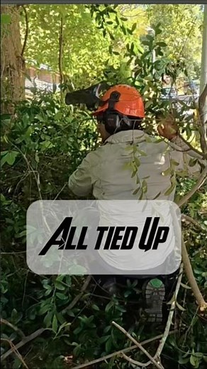 “This Garden Was Lost Under Overgrowth… Until Today | Mow It Free Monday”