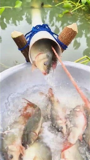 Amazing PVC Fishing Trap 🎣 Catching Fish in Lake | Unique Fishing Life #shorts