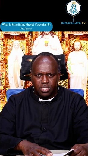 What Is Sanctifying Grace? Fr. James SSPX, Explains