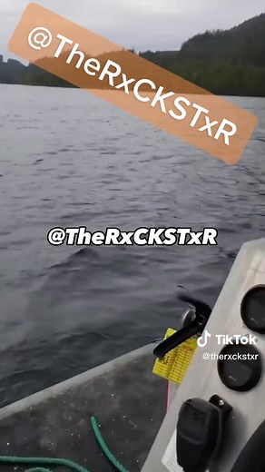 Drive The Boat Lady | boat