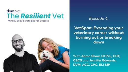 VetSpan: Extending your veterinary career without burning out or breaking down | dvm360