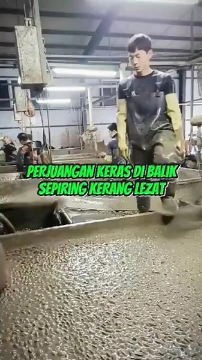 The Hard Struggle Behind a Plate of Delicious Mussels #uniquefacts #science #funscience