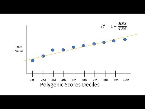 Polygenic Scores - Genome-Wide Association Studies Explained Simply Part 5