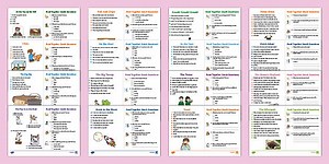 Phase 2 - 5 Phonetically Decodable 60-Second Reads Resource Pack