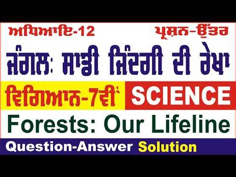 Class 7 Science | Chapter 12 | ਜੰਗਲ: ਸਾਡੀ ਜਿੰਦਗੀ ਦੀ ਰੇਖਾ | Forests: Our Lifeline | Questions Answers