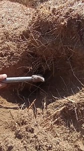 5.5K views · 49 reactions | Underground Detecting Pinpointer #underground #detectingpinpointer #metaldetectingpinpointer | Gold Field Hunting | Facebook