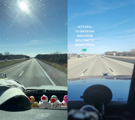 #duet with @HAMMA #hamma