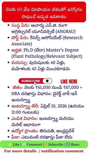 ANGRAU Recruitment 2026 | S.V. Agri College Tirupati Jobs | Research Associate Notification Telugu