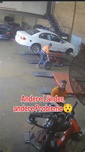 Überraschungsgast beim Reifenservice: Schlange in der Warteschlange! 🐍🚗 ​Man kennt das ja: Man fährt zum Reifendienst, stellt sich auf eine kleine Wartezeit ein – aber mit diesem Kunden hat hier wohl niemand gerechnet! In einer Werkstatt in Australien (Martins Creek/East Maitland) staunten die Mechaniker nicht schlecht, als sie statt eines platten Reifens einen riesigen Teppichpython in der Radaufhängung entdeckten. ​Anscheinend hatte sich das Tier dort ein gemütliches, warmes Plätzchen gesuch