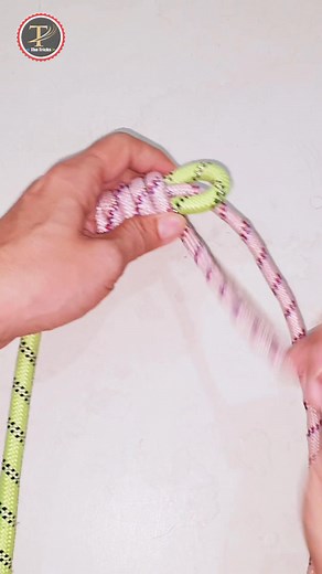 DIY Rope Knot 💡 Quick step by step guide #diy #reelsfb #reelsviral #knots #reels #trending #trend #viral #reelsvideo #howto #trendingreels #trendingnow #video #creative #craft #viralvideo #viralreels #like #love #fypシ゚ | The Tricks
