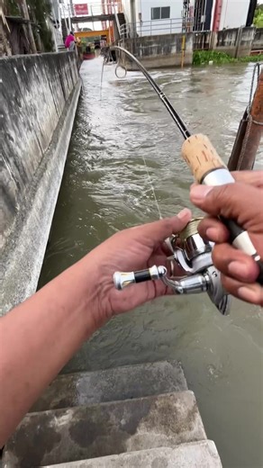 Fishing Near Home: Enjoying New Year 2026 Adventures