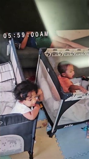 Future Breed Machine