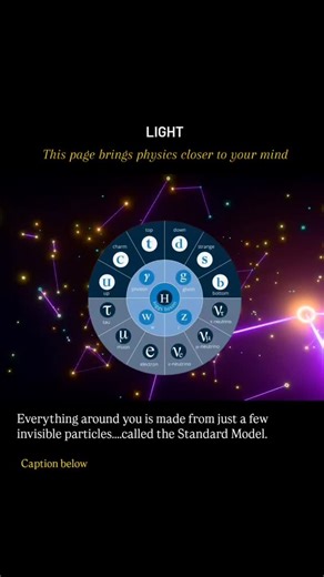 The Light | 🚨‼️The Standard Model is the scientific theory that explains all known fundamental particles and how they interact. Everything you see... | Instagram