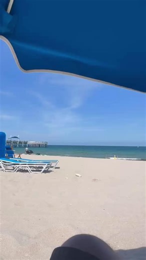 ☀️ Explore the fun way... by boat! 🛥️ For just $25, you can hop on and off all day long and discover the city’s best waterfront spots, from beaches and bars to shopping and dining. 🌴 Buy your ticket during the week, and it’s still valid on the weekend so you save yourself $13 per ticket! Talk about a win! Perfect for travelers as we’ll hold your luggage and have refreshing drinks on board 🍹 so you can sit back, relax, and enjoy the views. 🚤 Grab your ticket now and make your day on the water