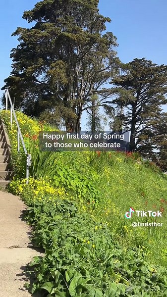 Celebrate Spring with Beautiful Flowers in San Francisco
