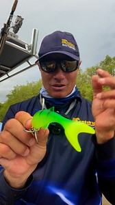 Locally made paddle tail soft plastics work a treat. Bright and vibrant lures with strong vibrations are generally more effective for attracting Barra in the dirty water. Barra or Blue Darwin Fishing Charters #escapefishingwithet #NorthernTerritory #fishingadventure #barramundi #fishing | Andrew Ettingshausen - Escape Fishing with ET