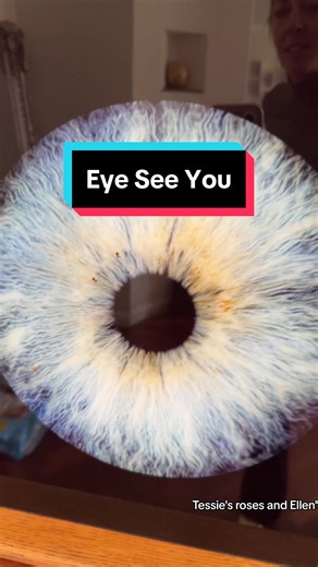 Capturing Special Moments with Mum | Iris Photos