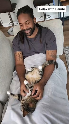 1.1K views · 11 reactions | The @LitterRobot 4 taking care of things a clean home & litter box with none of the work! #sponsored #thelitterrobot | Fostering kittens | Facebook